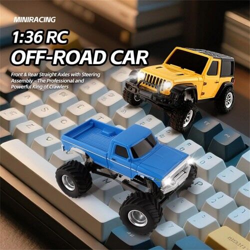mini rock crawler rc